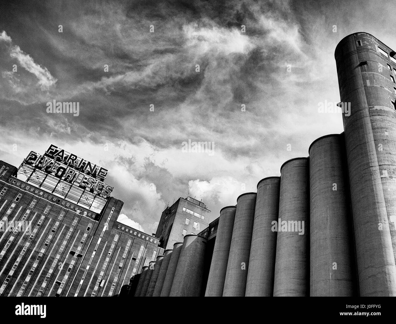Five roses Banque d'images noir et blanc - Alamy