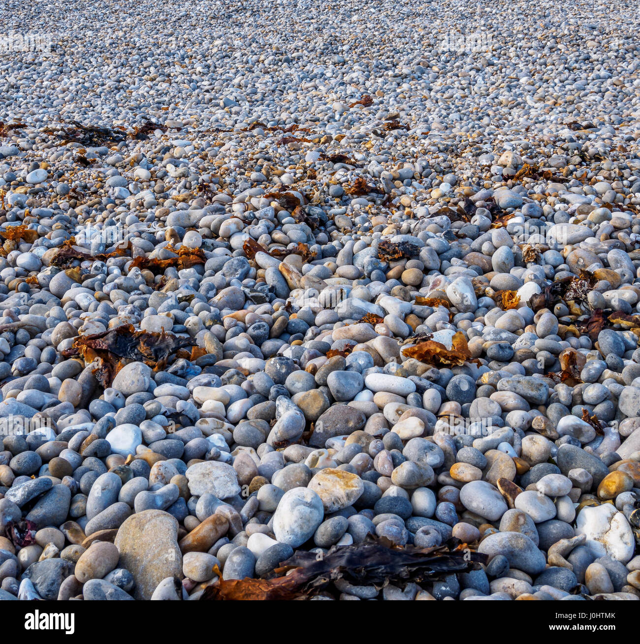 Galets du littoral Banque de photographies et d’images à haute ...