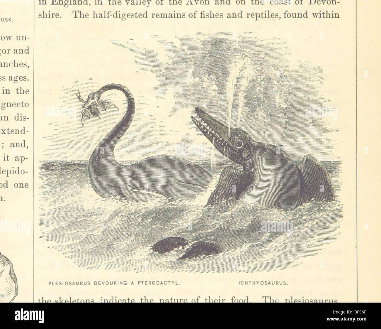 Éléments de géographie physique ; avec un traité sur les phénomènes ...