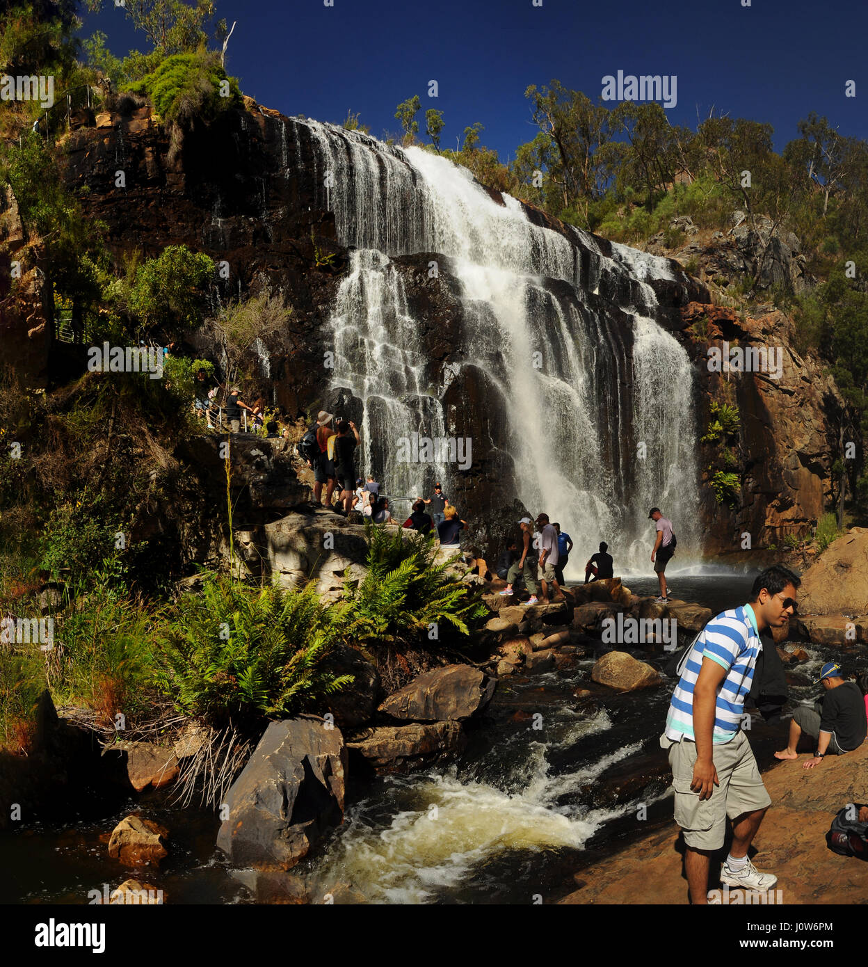 Mackenzie Cascade est le plus célèbre cascade du parc de Victoria ...
