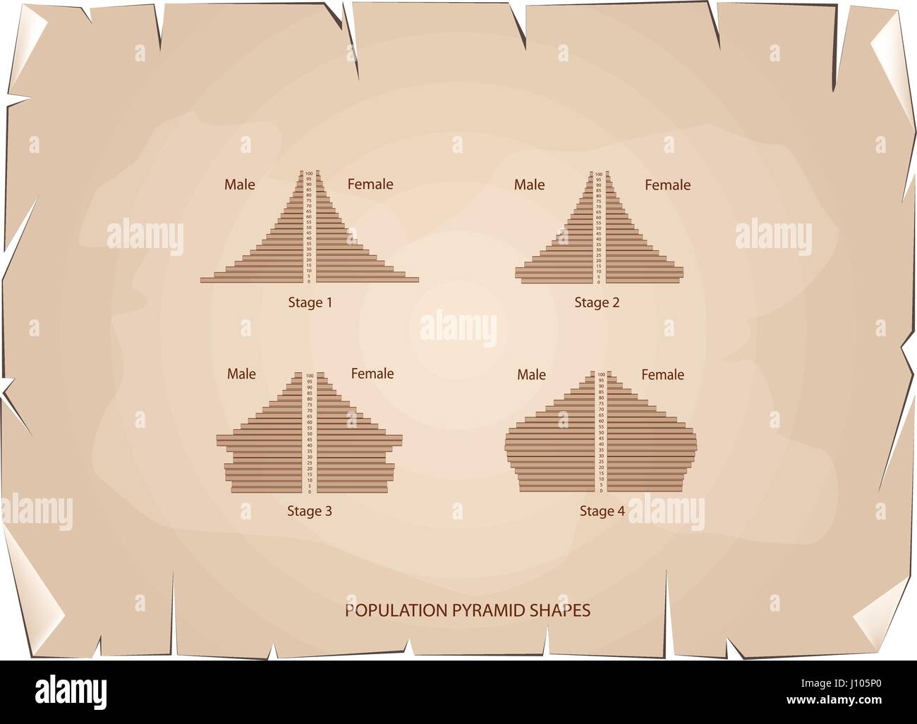 Population et démographie, Illustration Set de 4 types de pyramides des ...