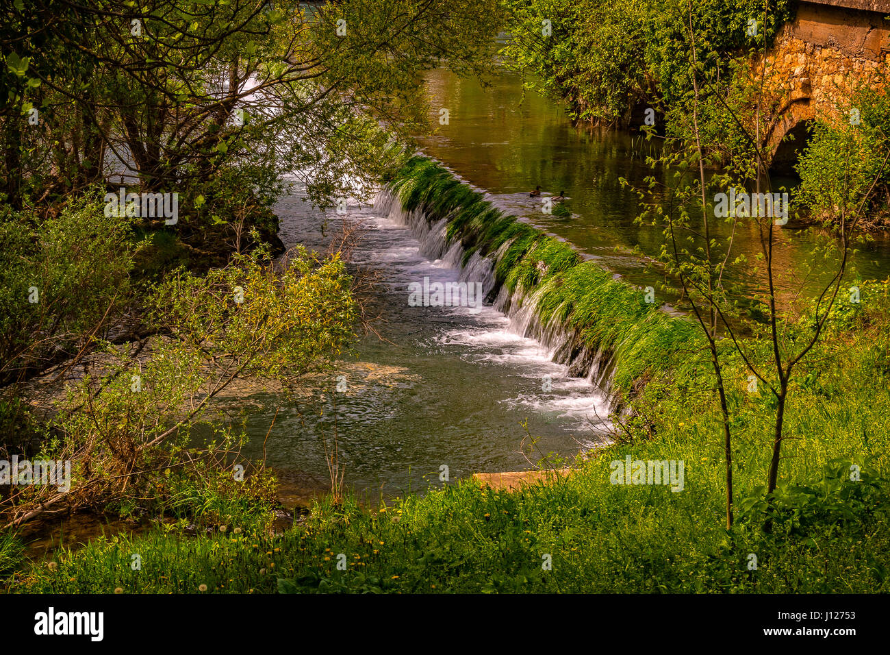 Parco nazionale della cherca Banque de photographies et d’images à ...