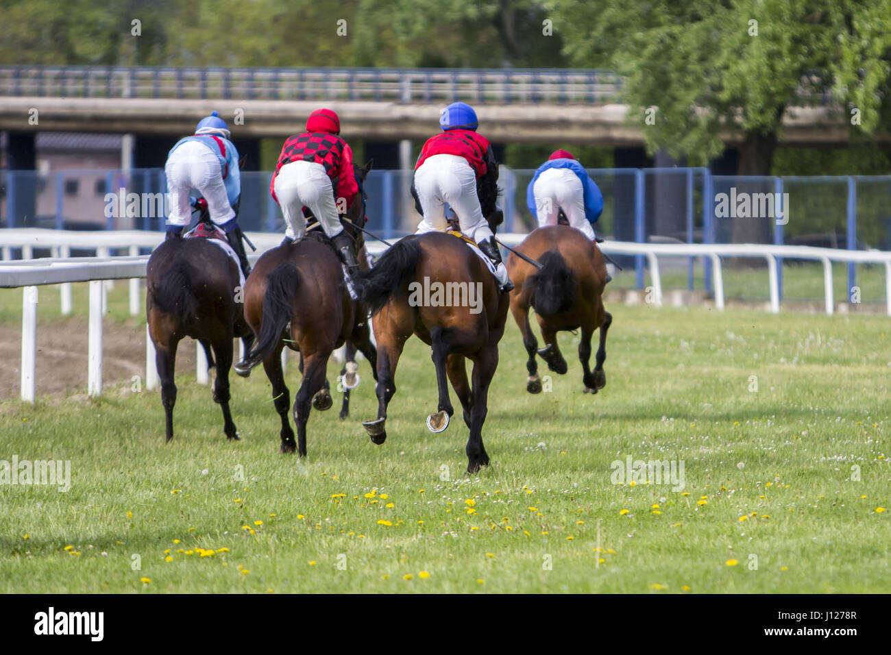 Chevaux de course de galop Banque de photographies et d’images à haute ...