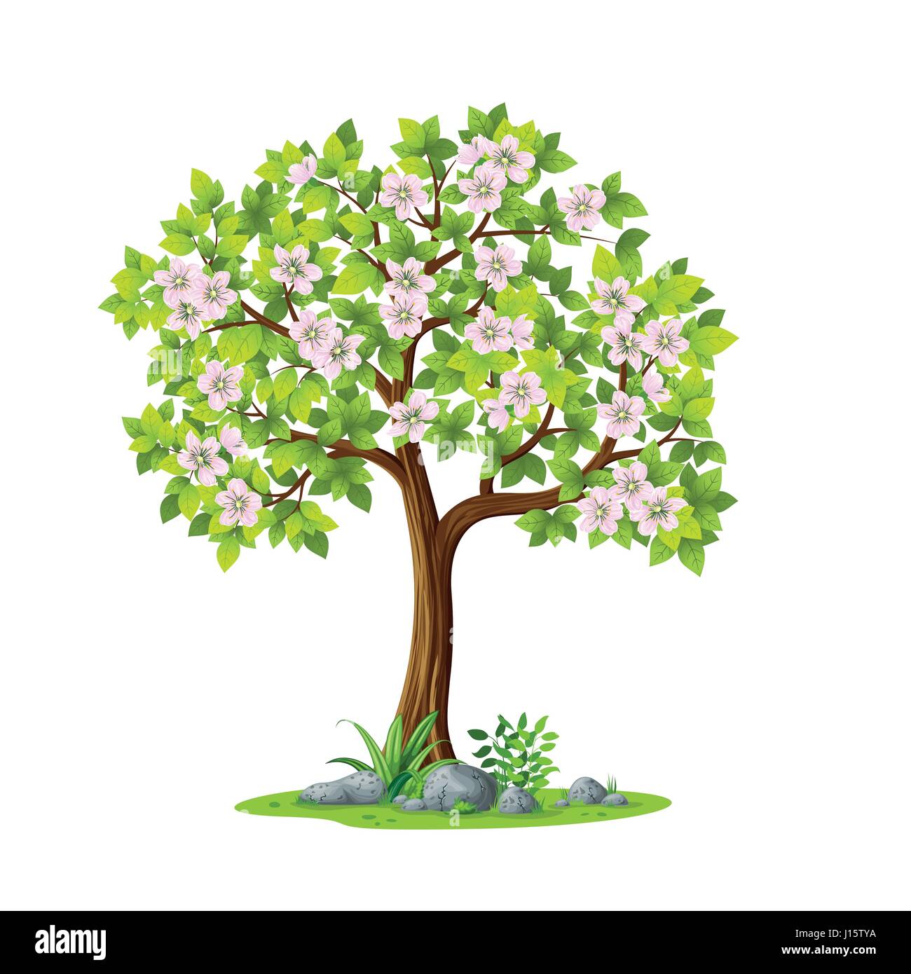 Vecteurs de vecteur de dessin animé Banque d'images vectorielles - Alamy