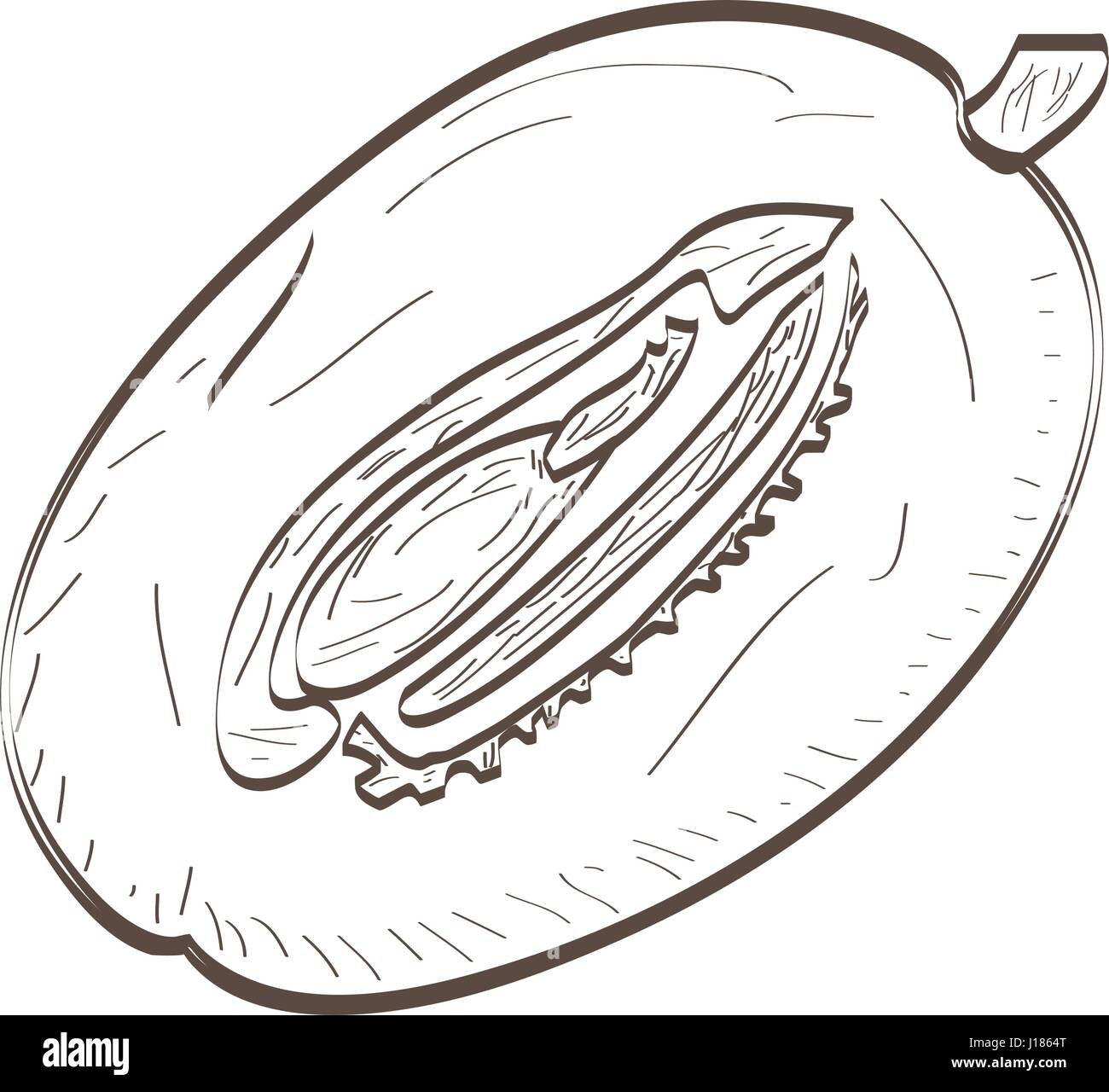 Fruit de corossol Banque d'images vectorielles - Alamy
