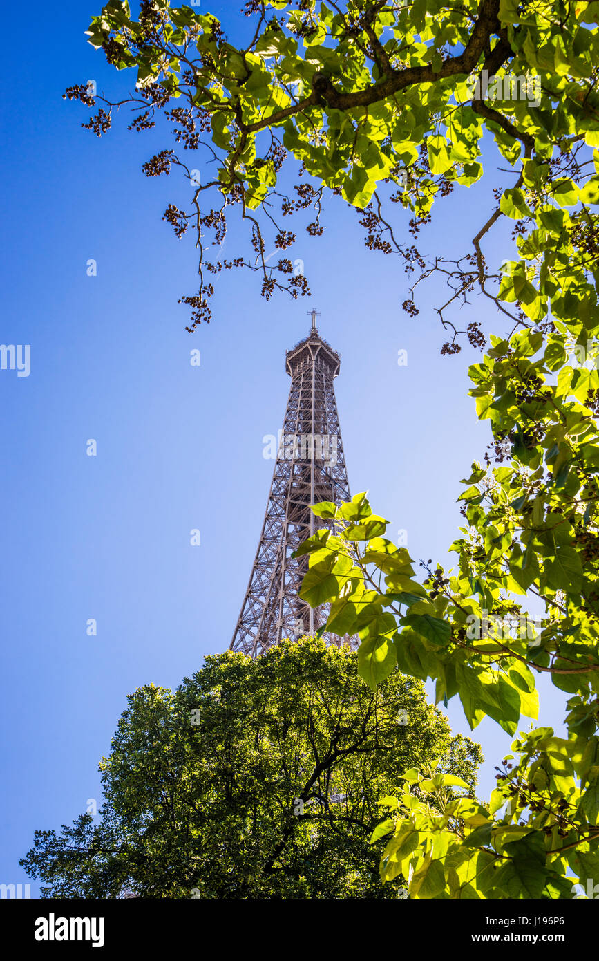 France, Paris, mole's eye view de la Tour Eiffel Photo Stock - Alamy