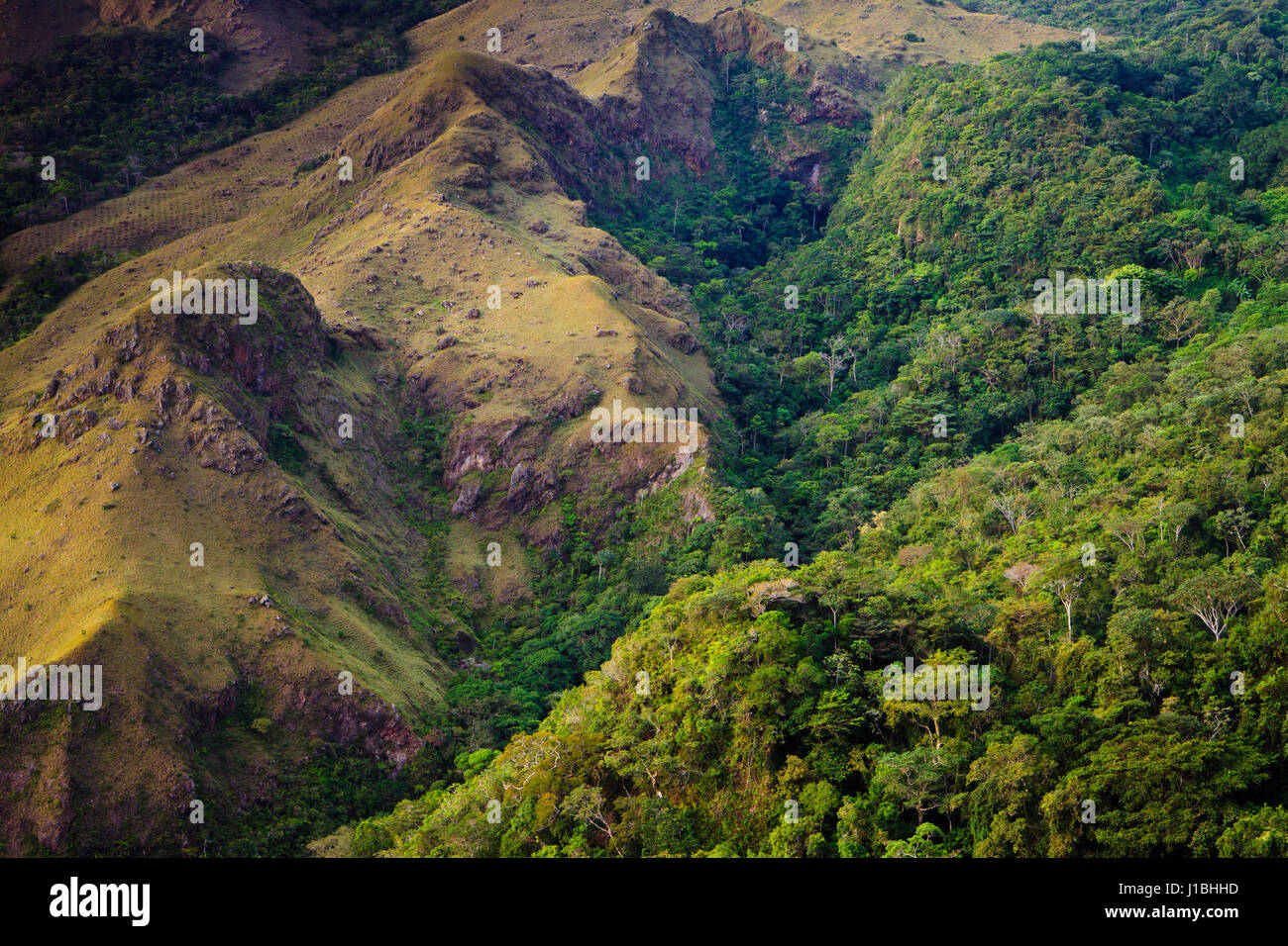 Panama paysage avec forêt tropicale dans les montagnes du parc national ...