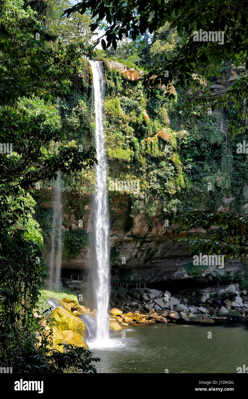 Parque nacional palenque Banque de photographies et d’images à haute résolution - Alamy