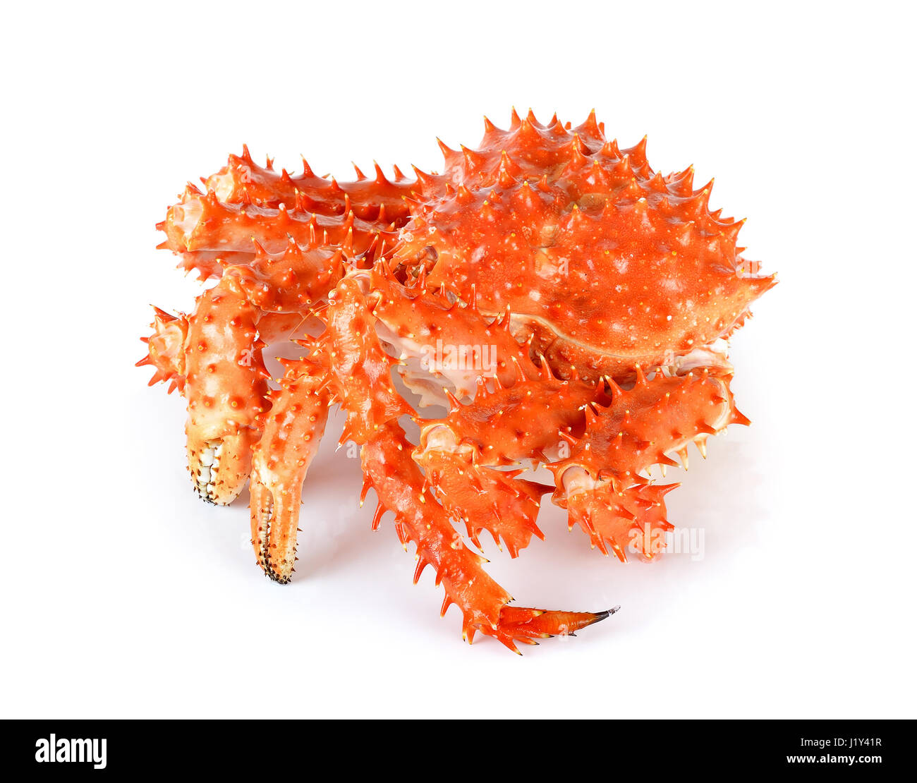 Crabe royal de l'alaska Banque de photographies et d’images à haute ...