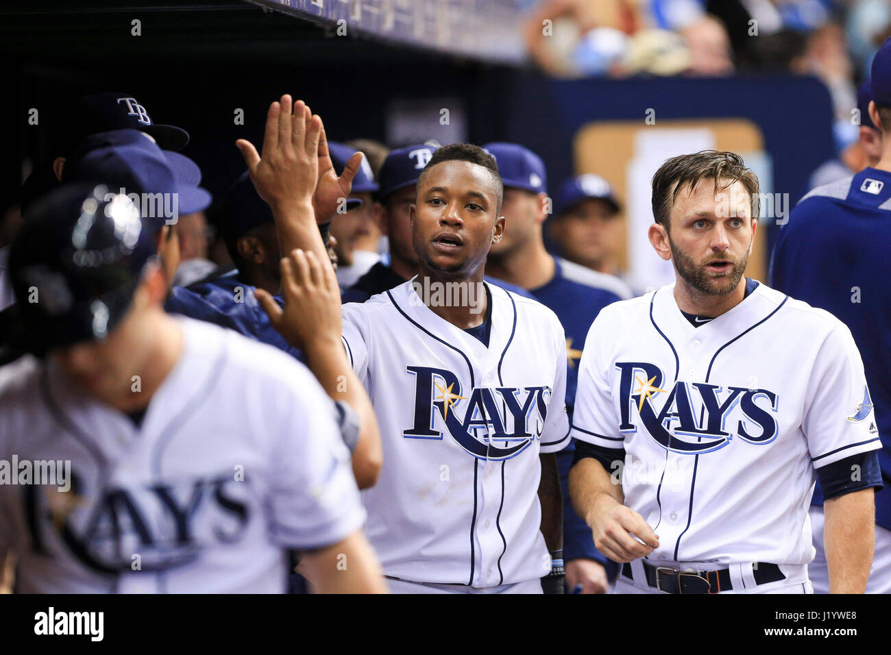 Saint Petersburg, Florida, USA. 22 avr, 2017. Vous VRAGOVIC | fois.Rays ...