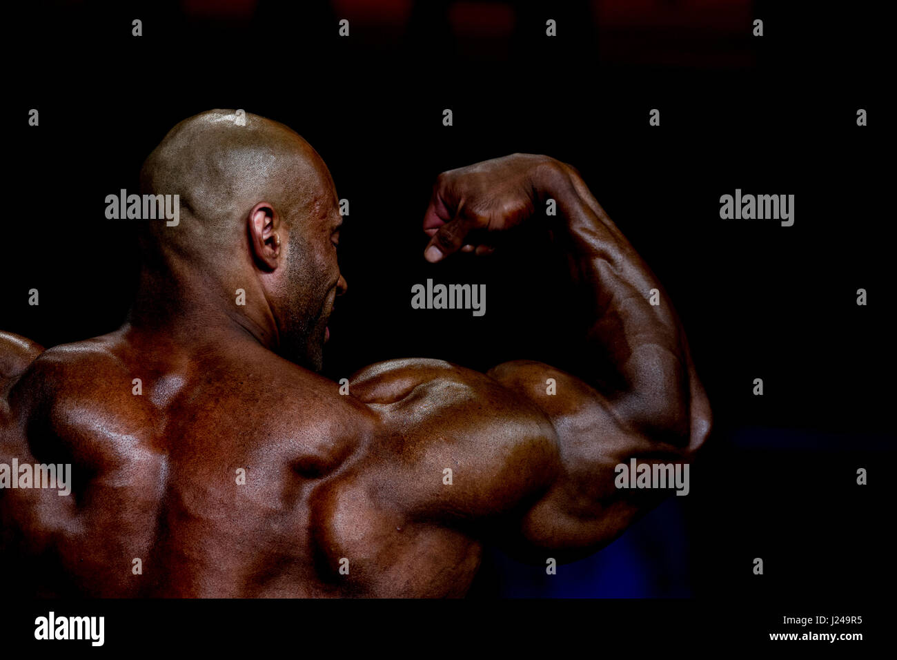 Arnold schwarzenegger bodybuilding Banque d'image et photos - Page 3 ...