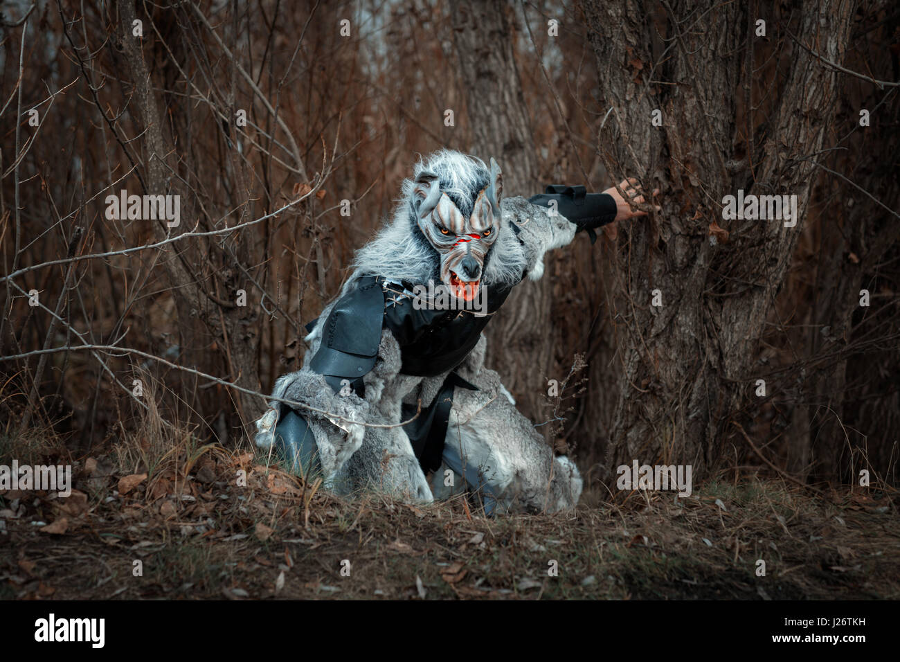 Homme loup Banque de photographies et d’images à haute résolution - Alamy