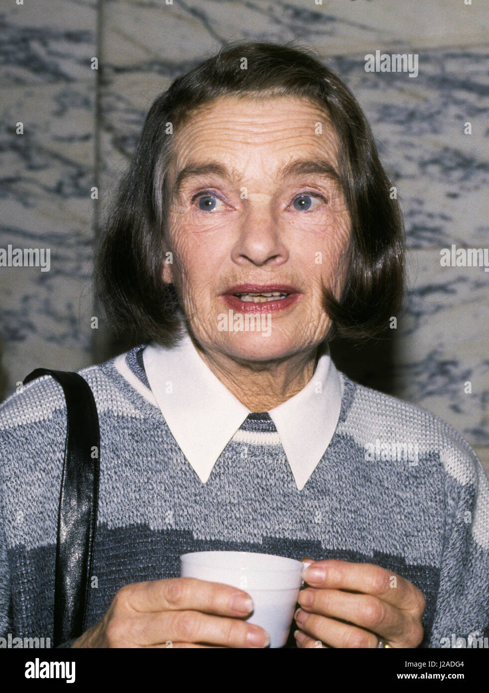 Eva wetlesen Banque de photographies et d’images à haute résolution - Alamy