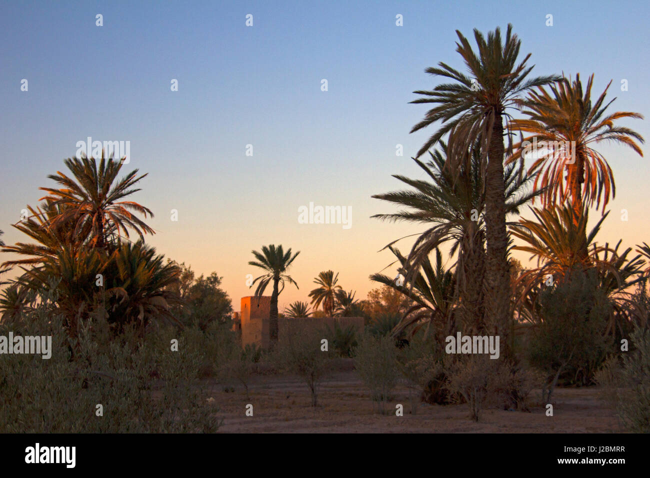 Skoura mosque village draa valley Banque de photographies et d’images à ...