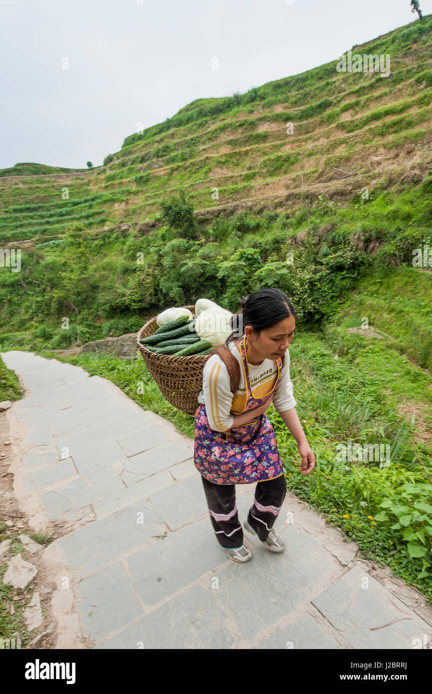 Les terrasses de riz de rachis Dragon Longsheng, Chine Photo Stock - Alamy