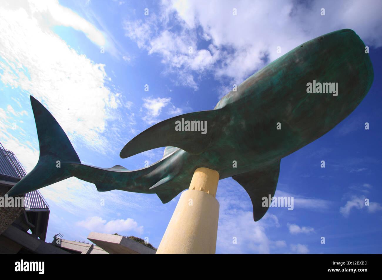 Un requin-baleine géant statue à l'entrée de l'Aquarium Churaumi d ...