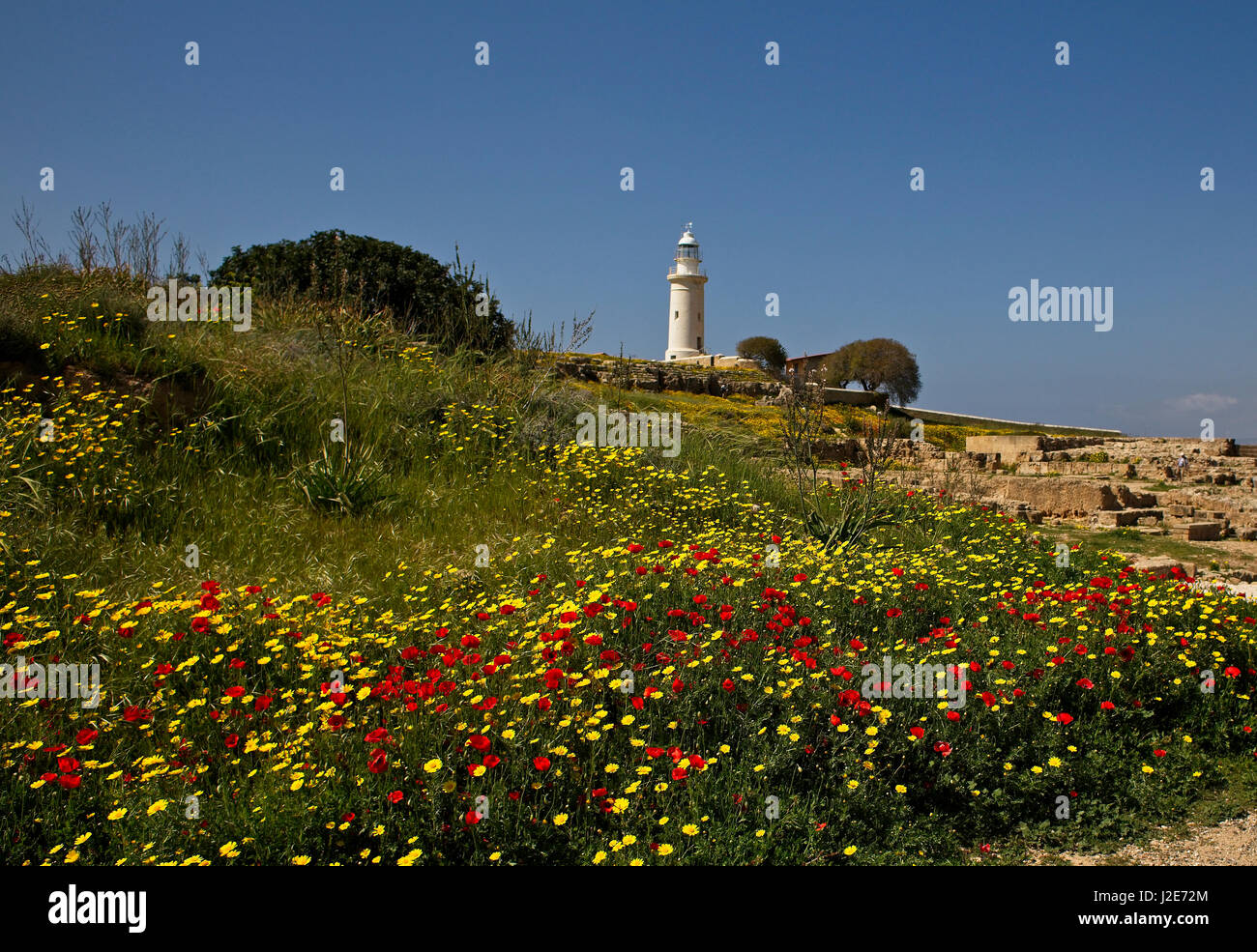 Fleurs sauvages de chypre Banque de photographies et d’images à haute ...