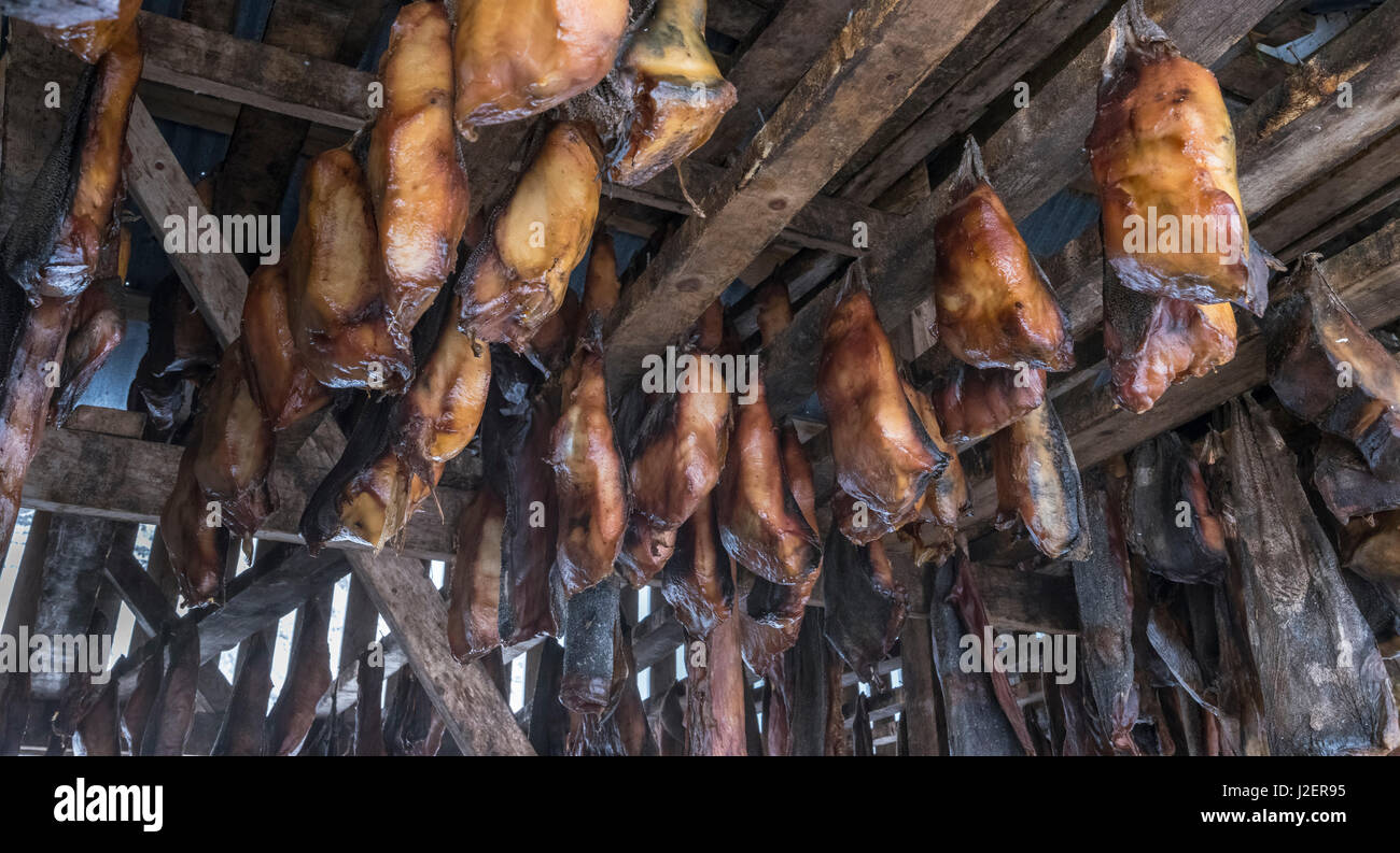 Viande de requin fermentée Banque de photographies et d’images à haute ...