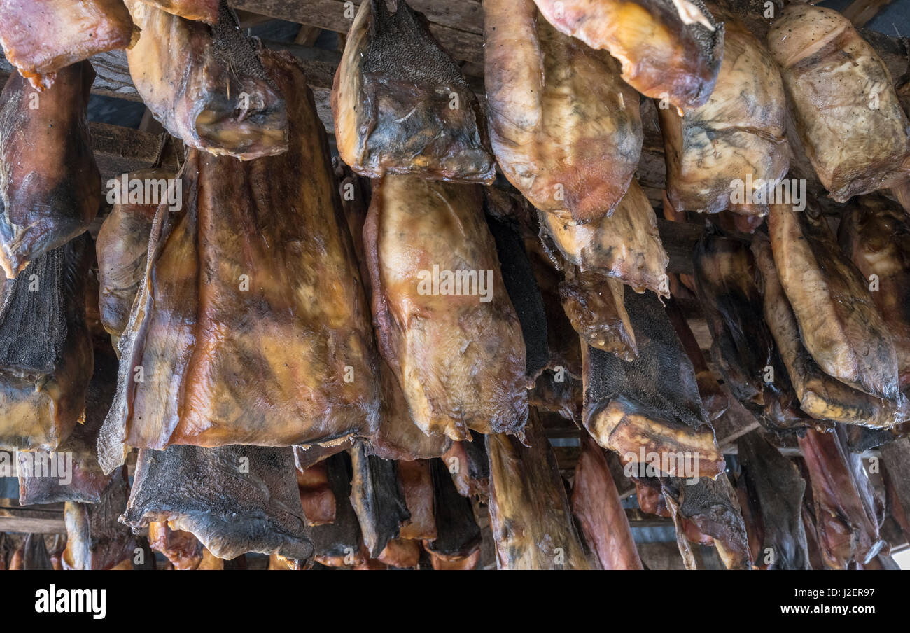 Viande de requin fermentée Banque de photographies et d’images à haute ...