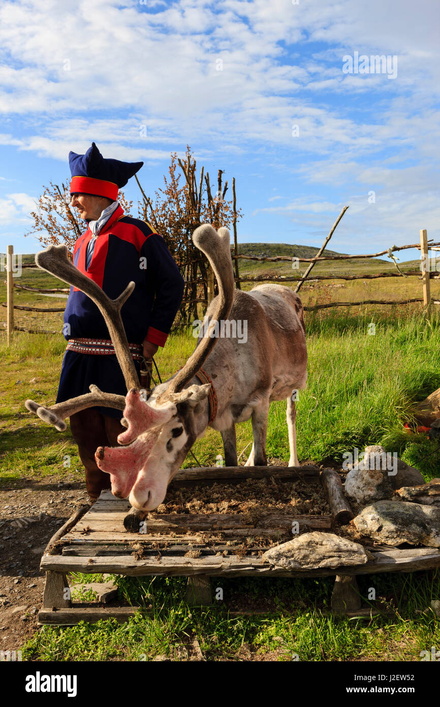 Sami culture laplander norway Banque de photographies et d’images à ...