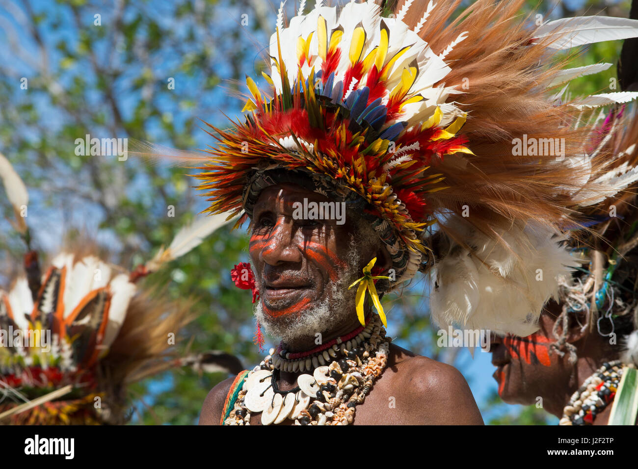Shell headdress Banque de photographies et d’images à haute résolution ...