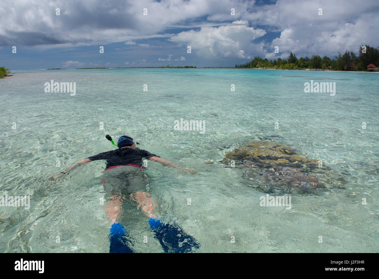 Motu haapiti rahi Banque de photographies et d’images à haute ...