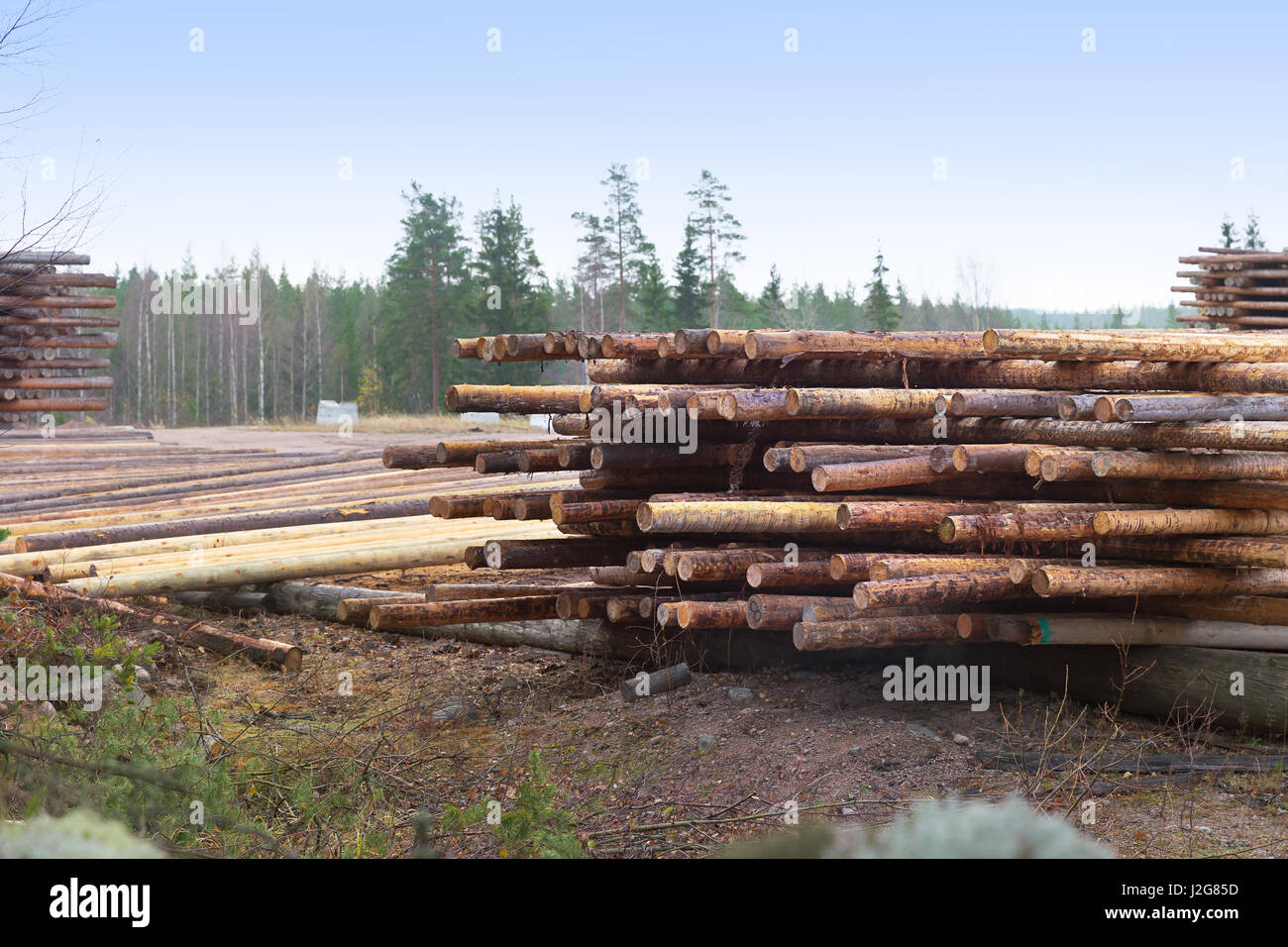 Deforestation forests Banque de photographies et d’images à haute ...