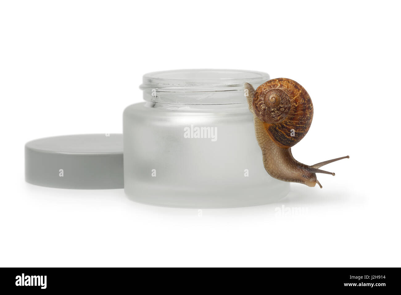 Pot de crème pour le visage Banque de photographies et d’images à haute ...