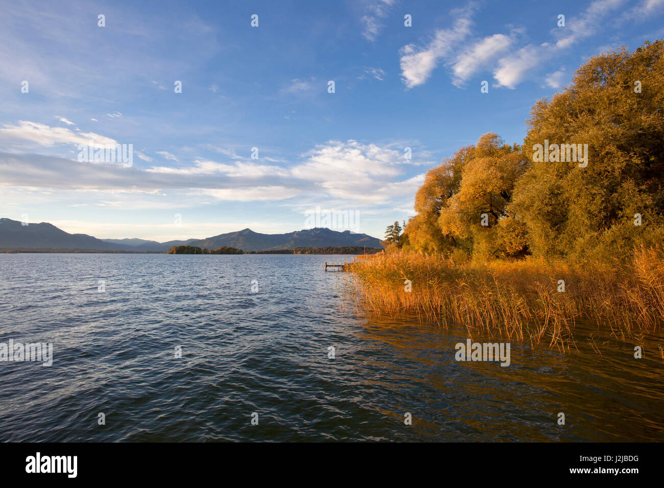 Rivage avec des roseaux Banque de photographies et d’images à haute résolution - Alamy