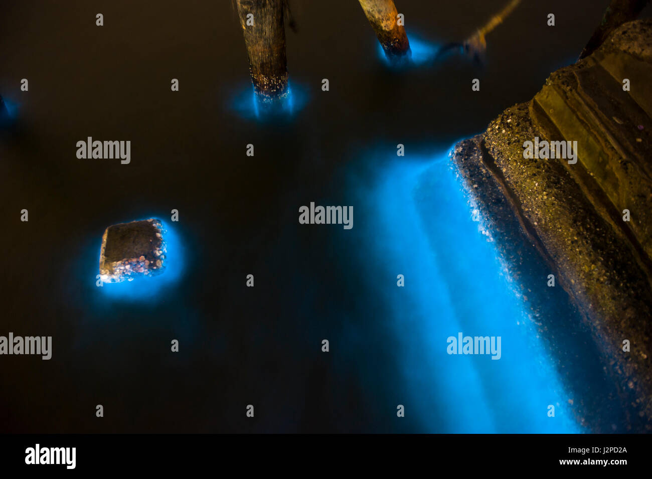 Le plancton marin Glow in the dark en Thaïlande, bioluminescence Photo ...