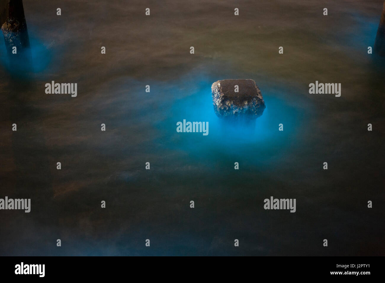 Le plancton marin Glow in the dark en Thaïlande, bioluminescence Photo ...