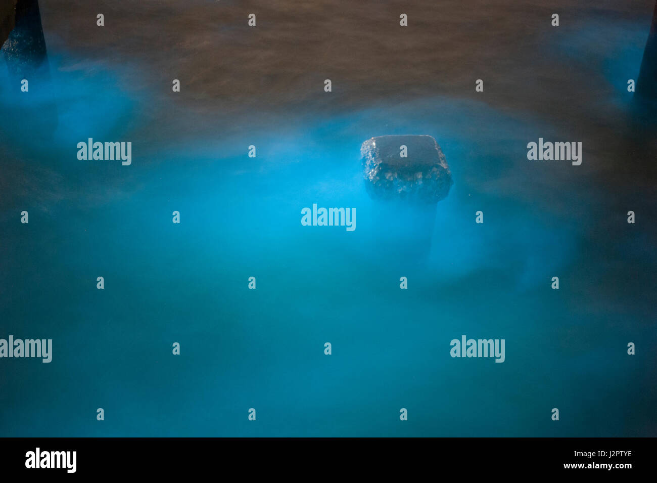 Le plancton marin Glow in the dark en Thaïlande, bioluminescence Photo ...