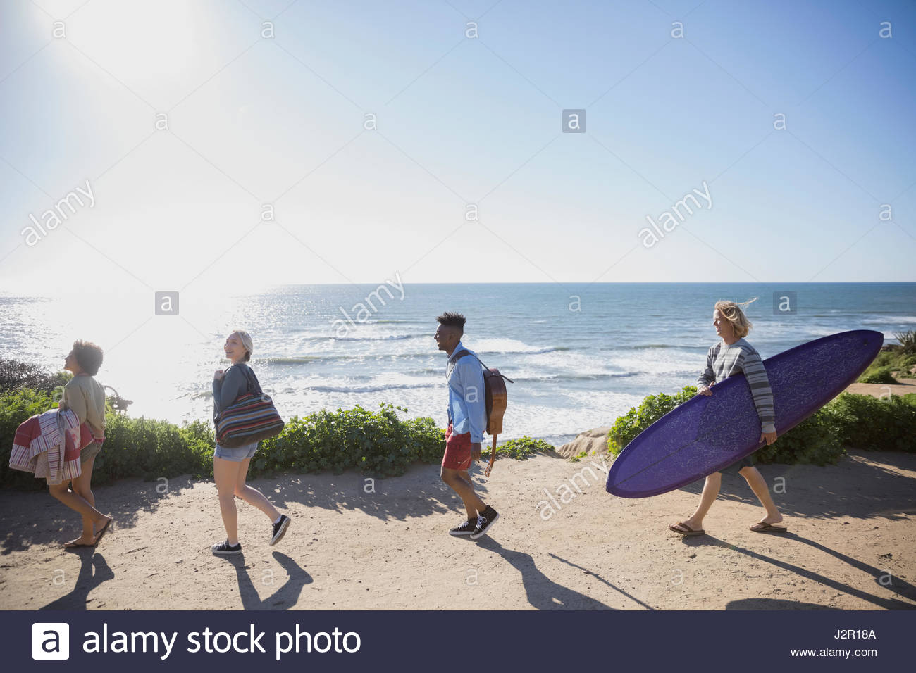 Planche de surf sur la plage Banque de photographies et d’images à ...