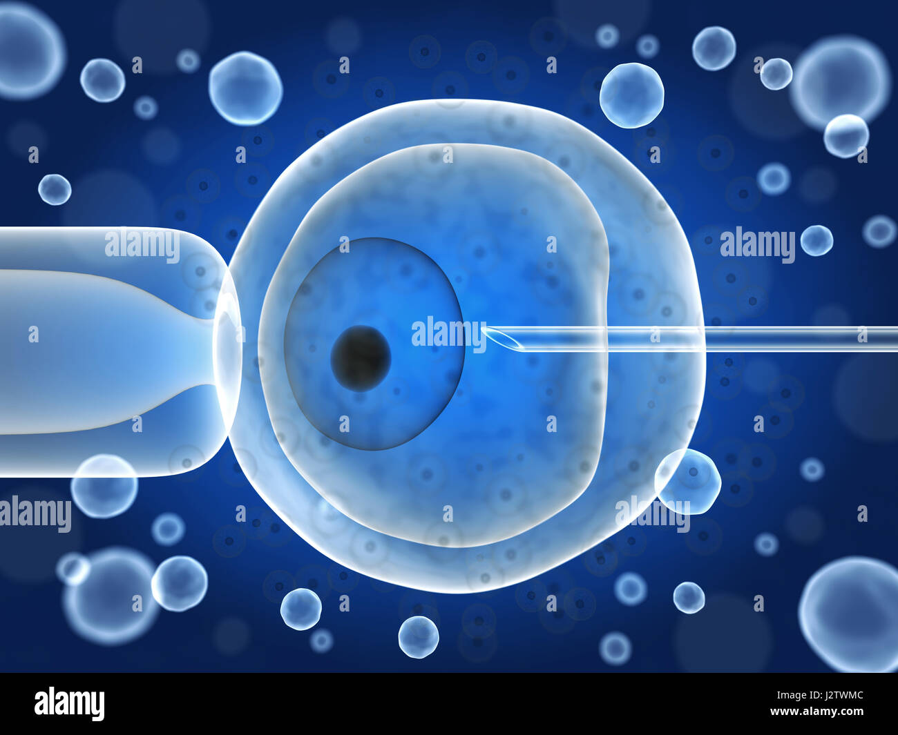 La fécondation de l'ovule artificiel voir le microscope . 3d ...