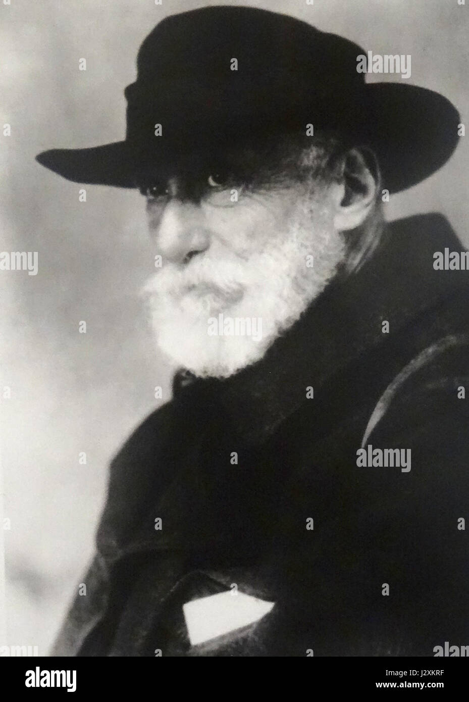 Auguste forel Banque de photographies et d’images à haute résolution ...