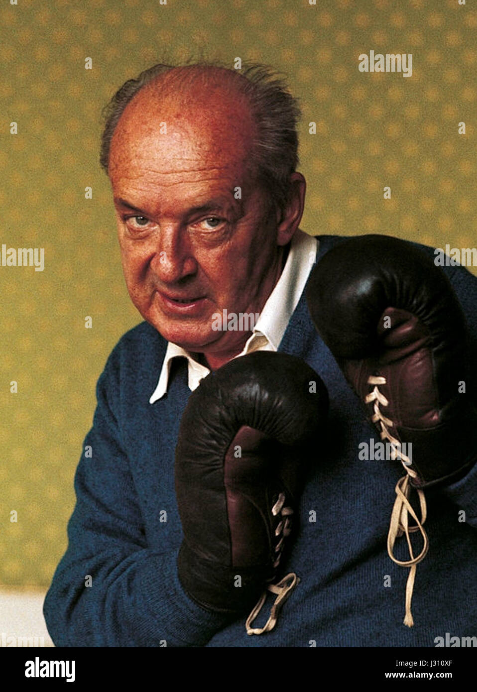 Vladimir nabokov Banque de photographies et d’images à haute résolution ...