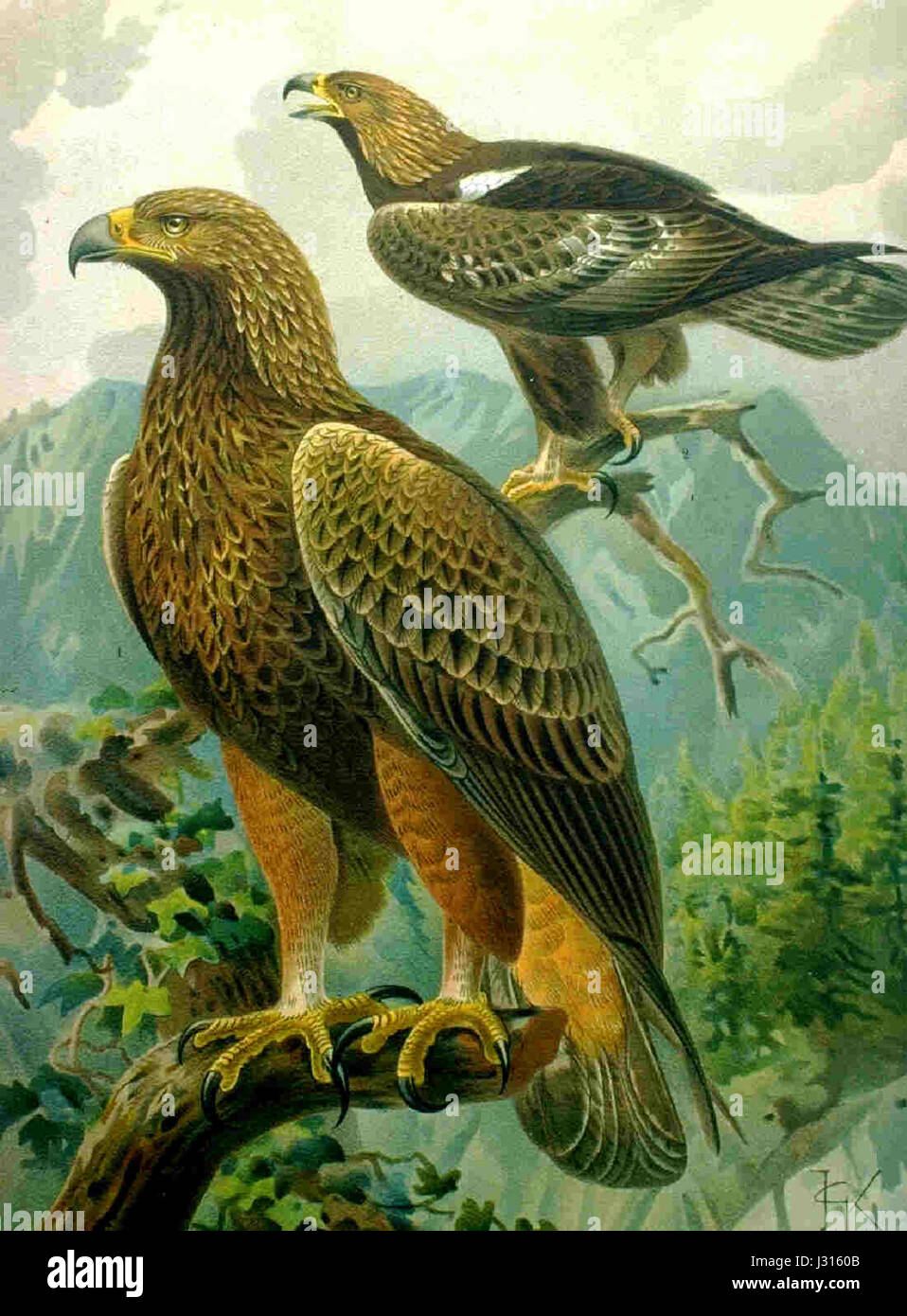 Aquila map Banque de photographies et d’images à haute résolution - Alamy