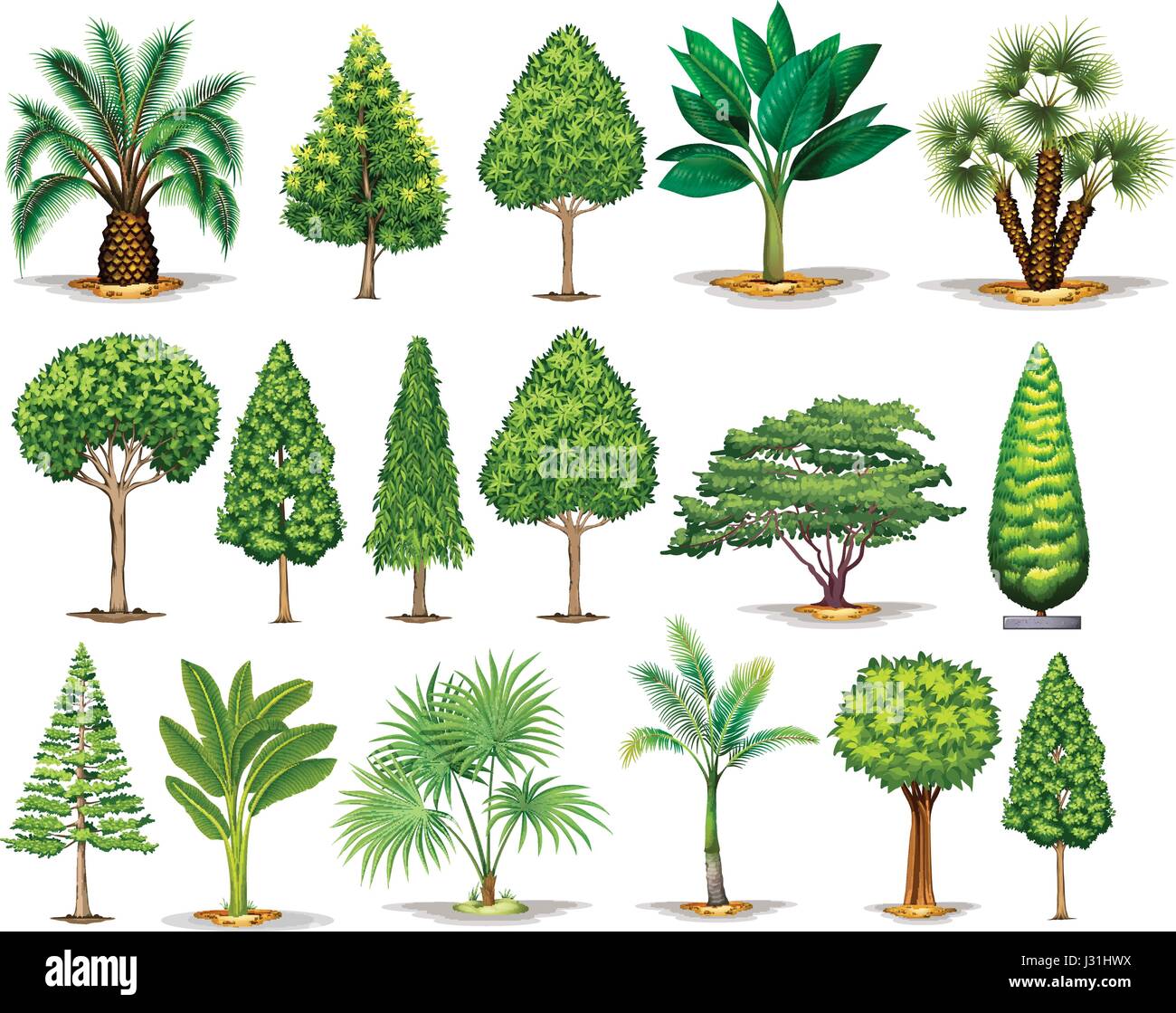 Types de vert Banque d'images vectorielles - Alamy