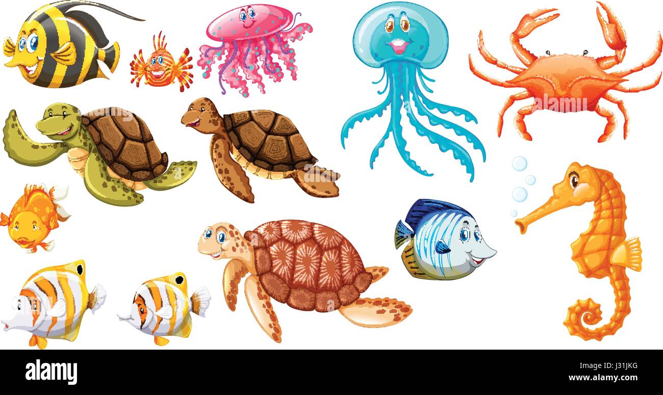 Différents types d'animaux de mer illustration Image Vectorielle Stock ...