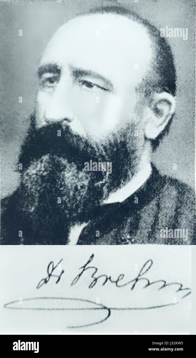 Alfred brehm Banque de photographies et d’images à haute résolution ...