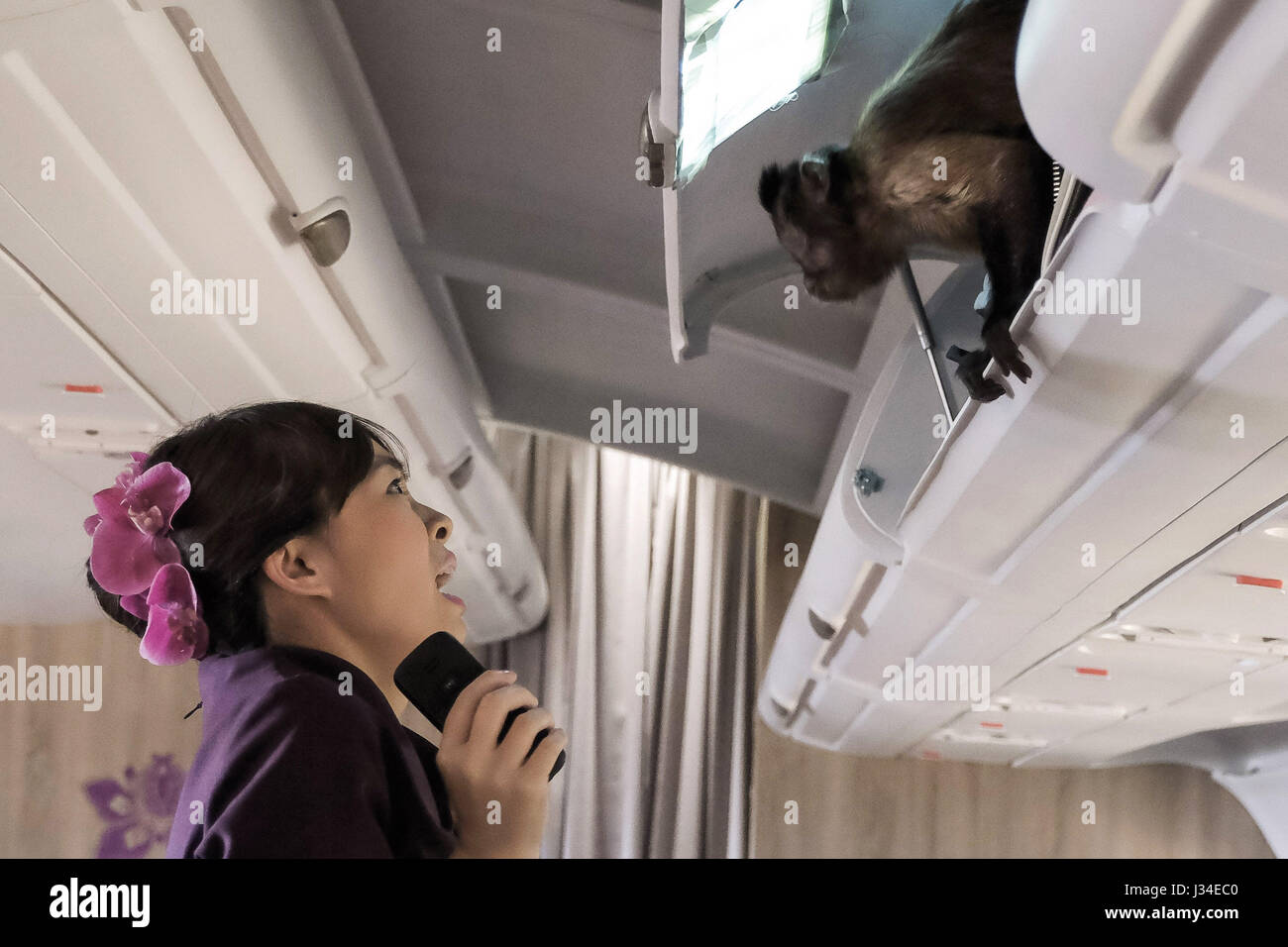 Le VIEIL HOMME DE 101 ANS QUI ONT SAUTÉ SUR LE PROJET DE LOI ET A DISPARU, (aka HUNDRAETTARINGEN ...