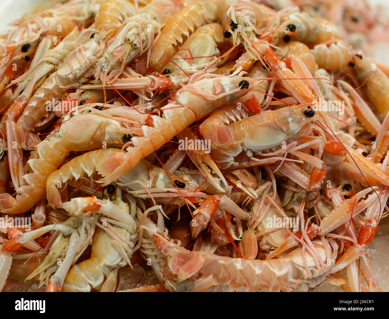 Langoustine aux fruits de mer Banque de photographies et d’images à ...
