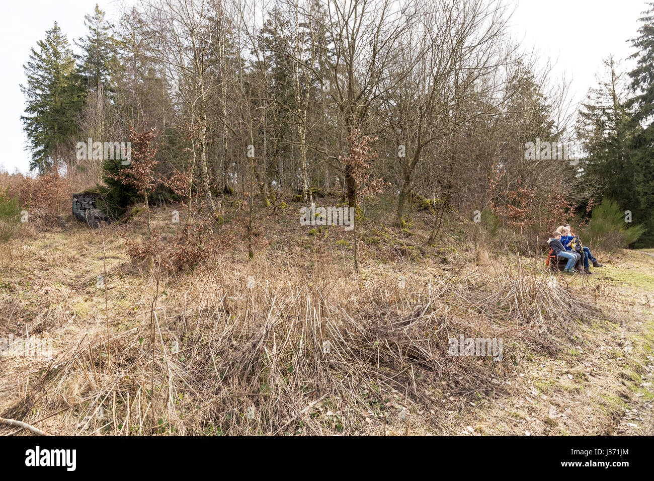 Forêt de huertgen Banque de photographies et d’images à haute ...