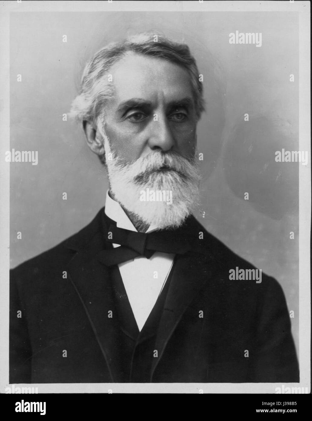 Carte des roseaux Banque d'images noir et blanc - Alamy