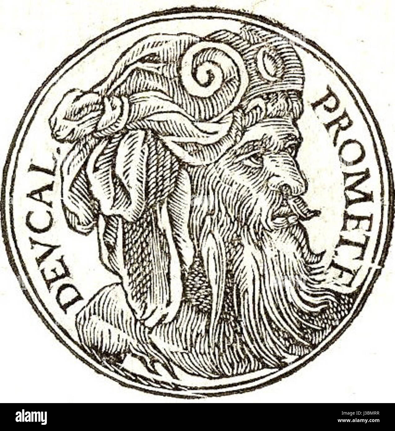 Deucalion pyrrha Banque de photographies et d’images à haute résolution ...