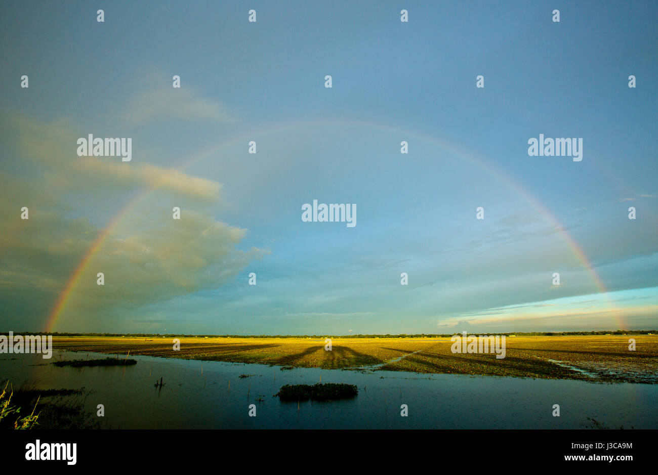 Hakaluki haor Banque de photographies et d’images à haute résolution ...