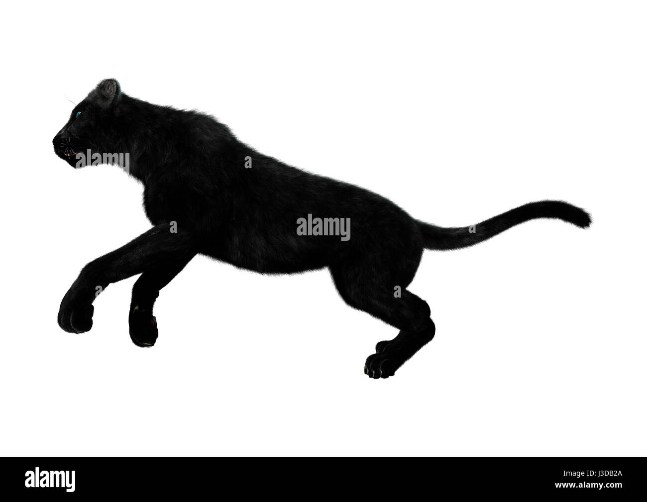 Le rendu 3D d'une chasse à la panthère noire isolé sur fond blanc Photo ...