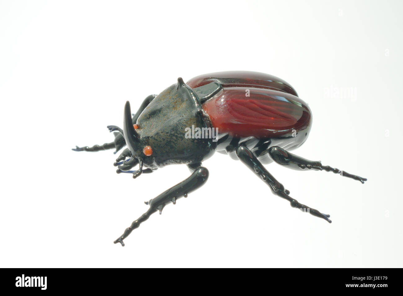 Fabuleux insecte en verre grandeur nature par Vittorio Costantini ...