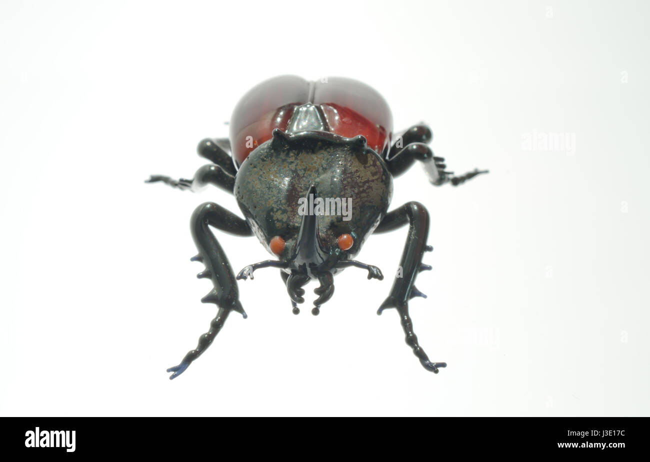 Incroyable insecte en verre fait à la main - Rhinoceros Beetle par ...