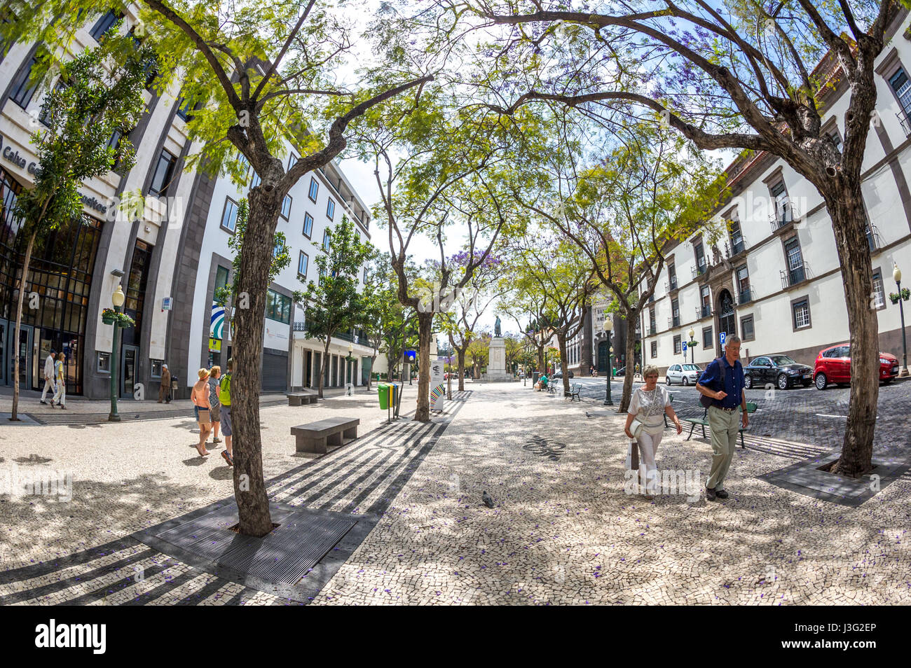 Avenida arriaga funchal madeira street Banque de photographies et d ...